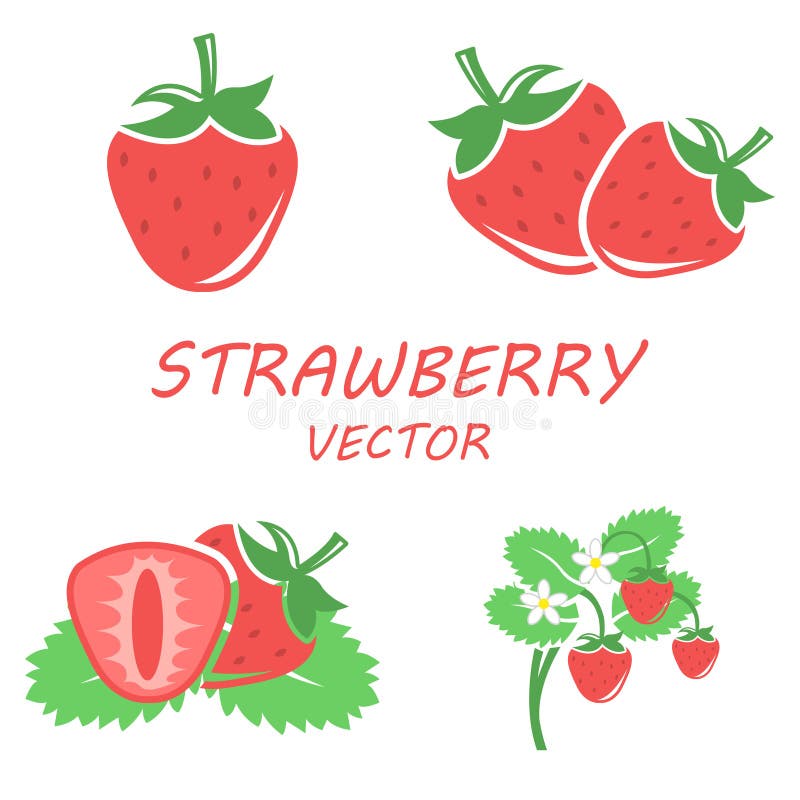 Vector Flat Strawberry Icons Set Stock Illustration - Illustration of ...