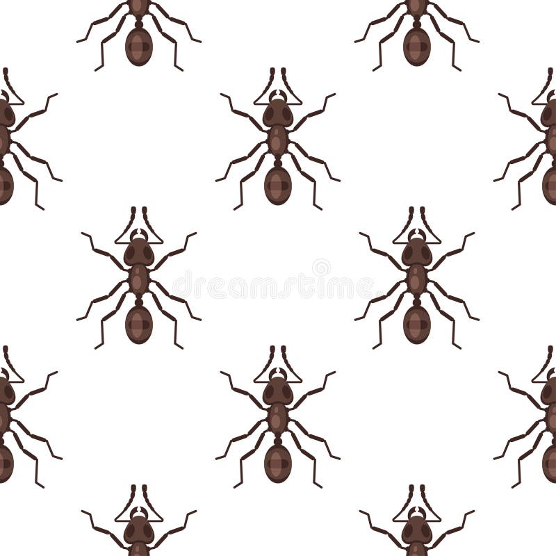 Vector Flat Style Seamless Pattern with Ants. Stock Vector ...