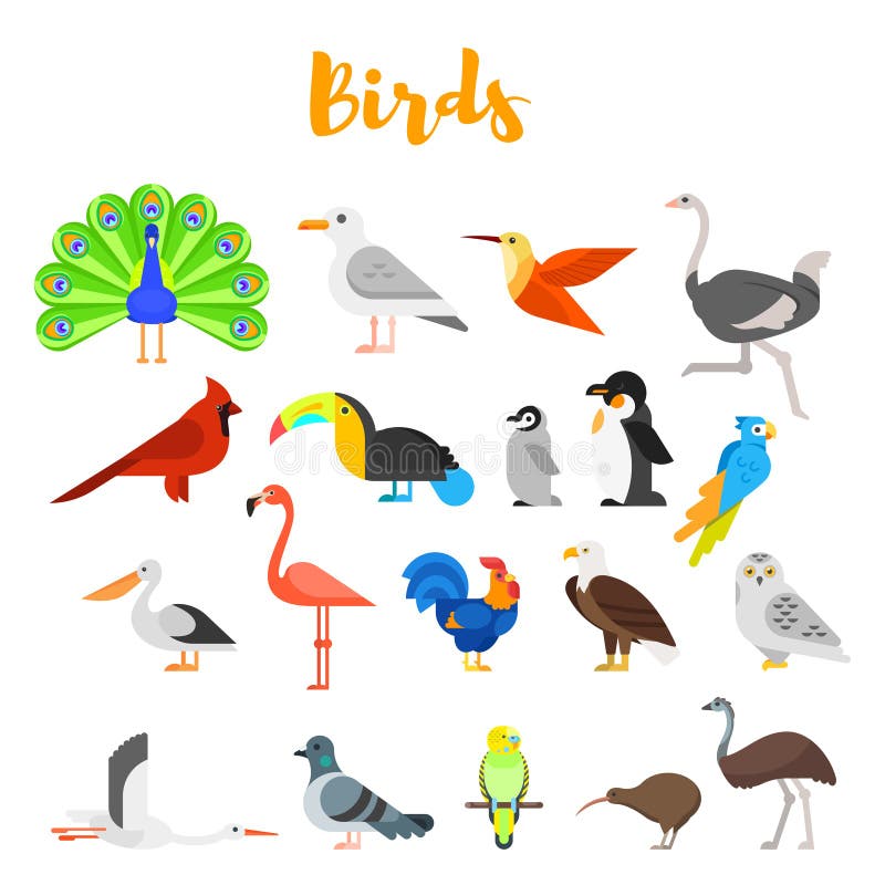 Vector Flat Style Set of Birds. Stock Vector - Illustration of brown ...