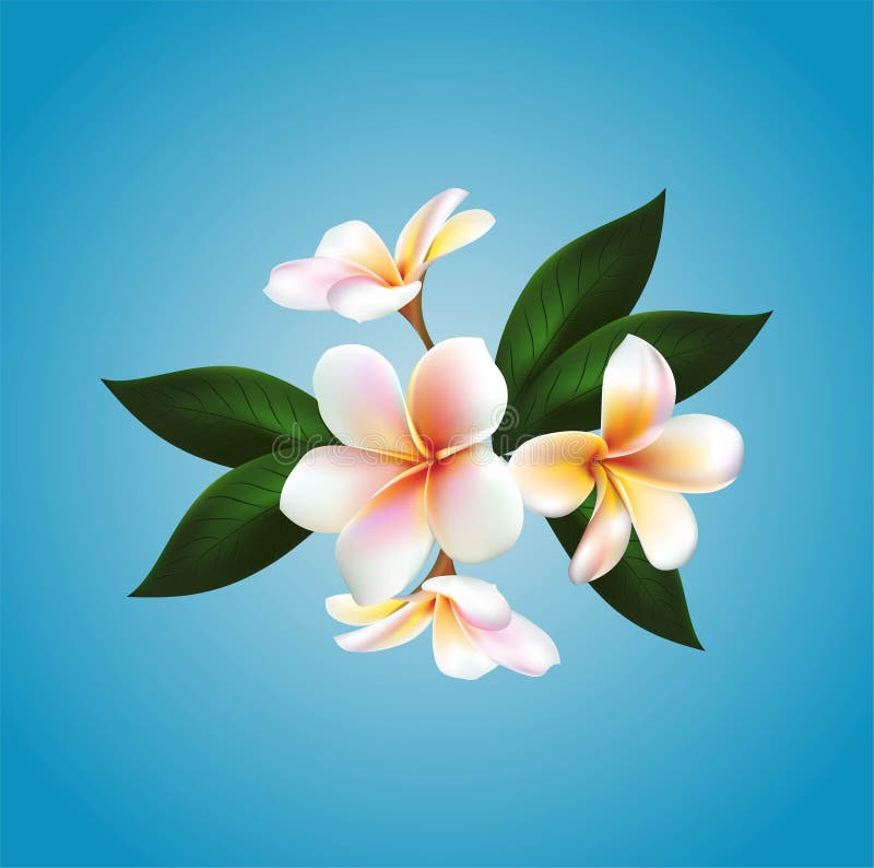 Vector floating flower stock vector. Illustration of flower - 79367387