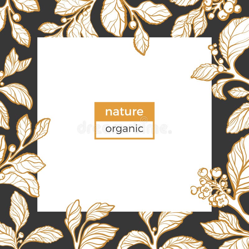 Vector Floral Frame of Mate Branches. Stock Vector - Illustration of ...