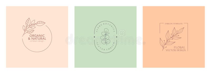 Vector Floral Organic Emblems.Natural Logo Designs with Linear ...