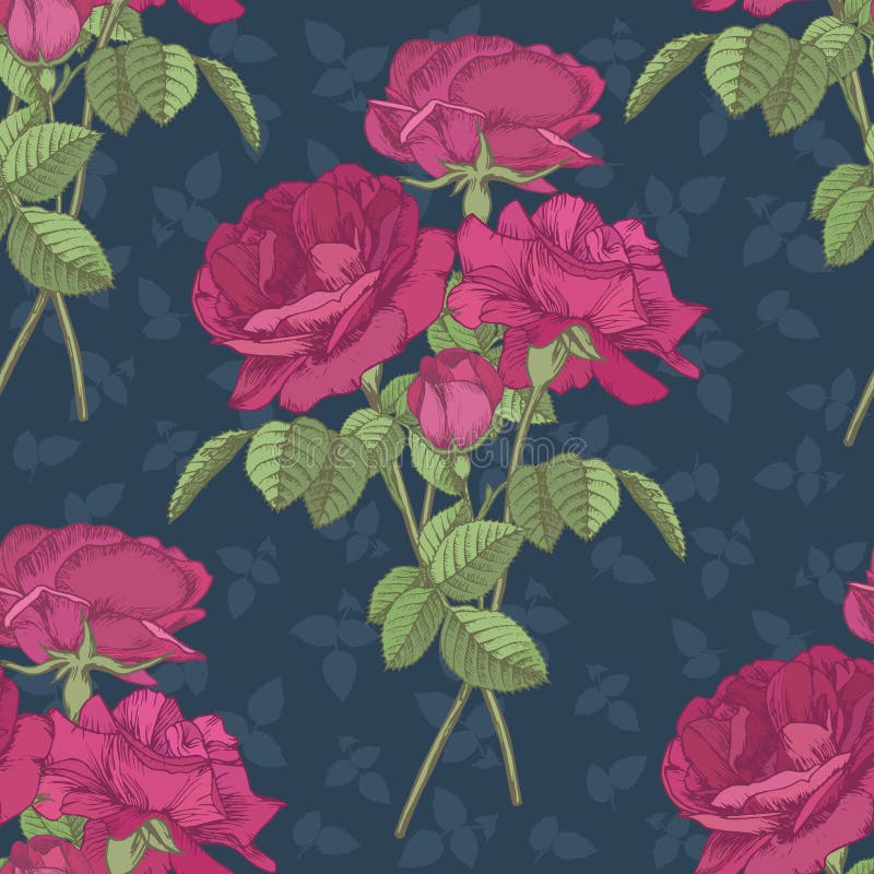 Vector Floral Seamless Pattern with Bouquets of Dark Pink Roses Stock ...