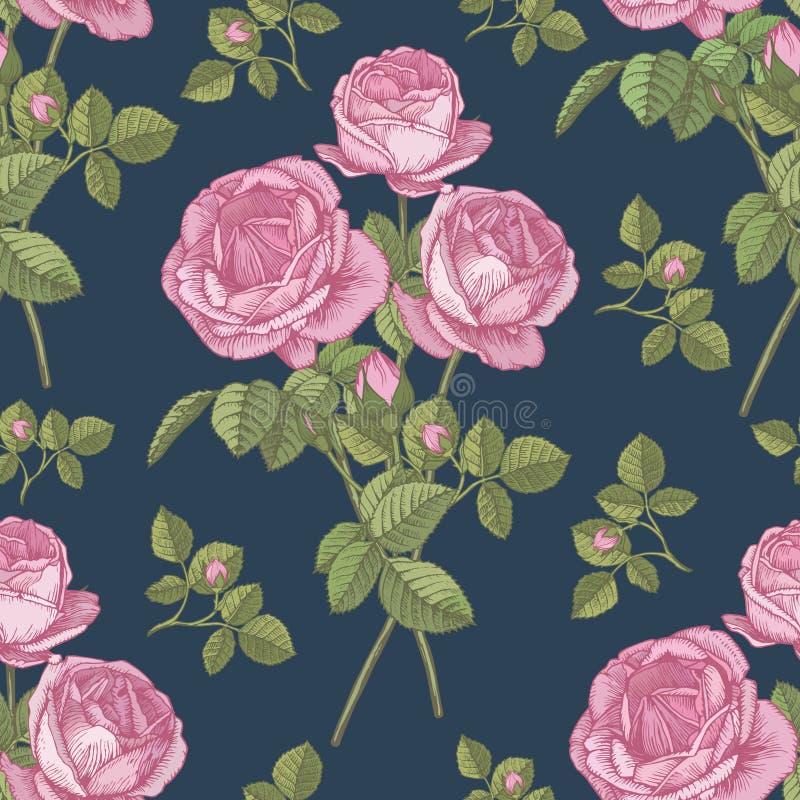 Vector Floral Seamless Pattern with Watercolor Pink Roses. Stock Vector ...