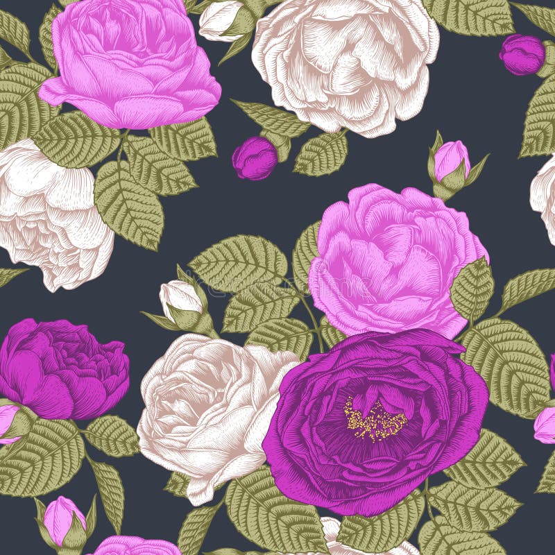 Vector Floral Seamless Pattern with Hand Drawn White and Violet Roses ...