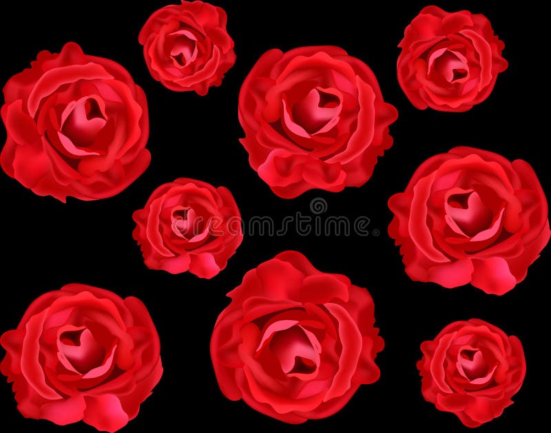 Vector Floral Seamless Texture with Realistic Red Roses Stock Vector ...