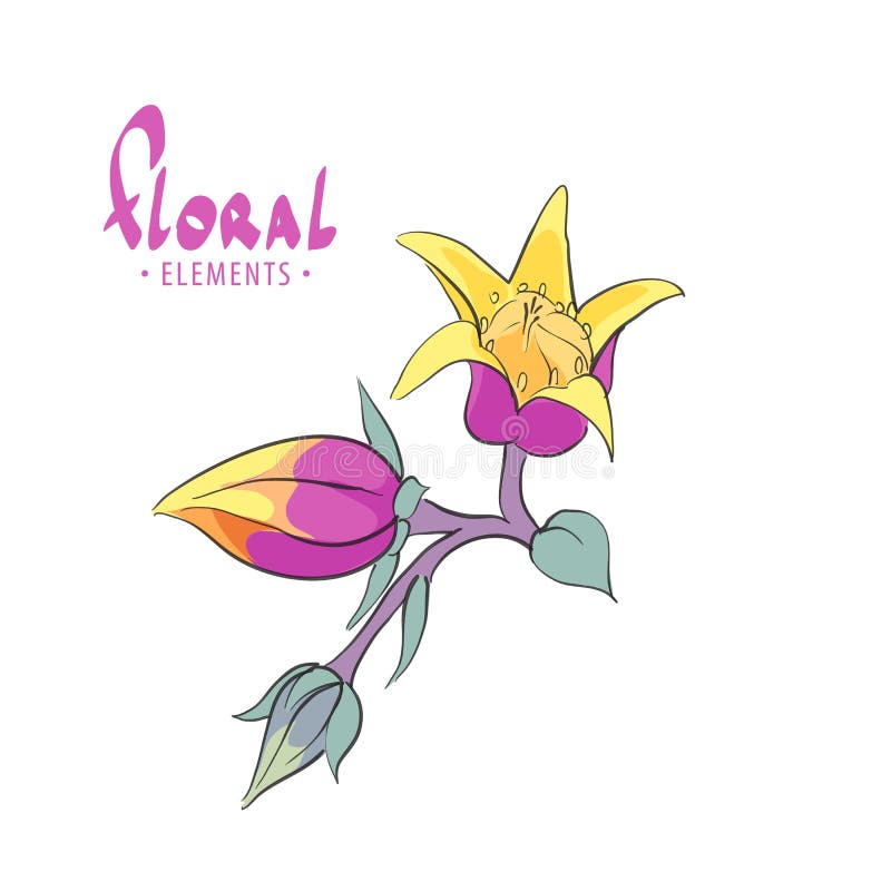 Vector flower stock vector. Illustration of flower, colour - 83414257