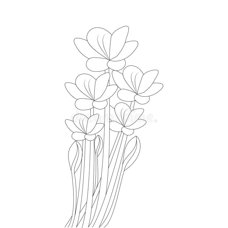 Vector Flower Design with Stroke Black Line Art Blooming Flourish Hand ...