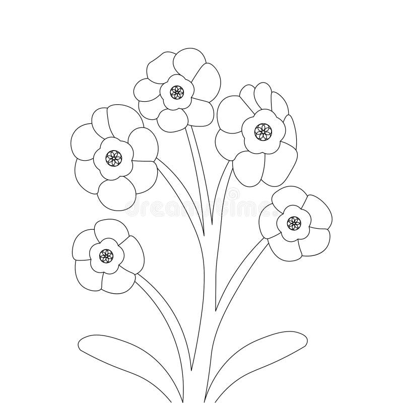 Vector Flower Drawing with Detailed Creative Line Stroke for Coloring ...
