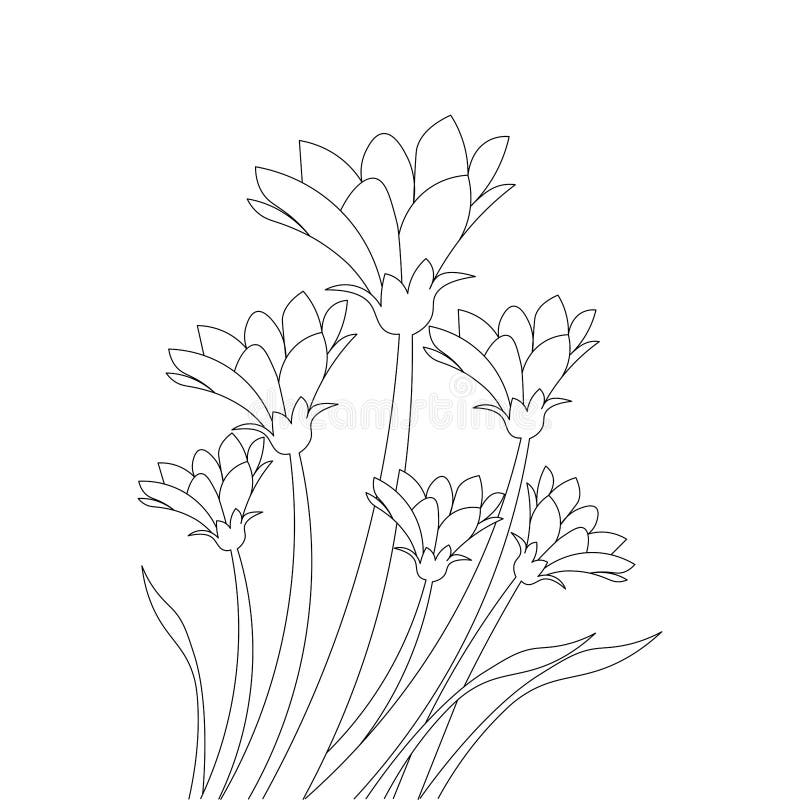 Vector Flower Drawing with Detailed Creative Line Stroke for Coloring ...
