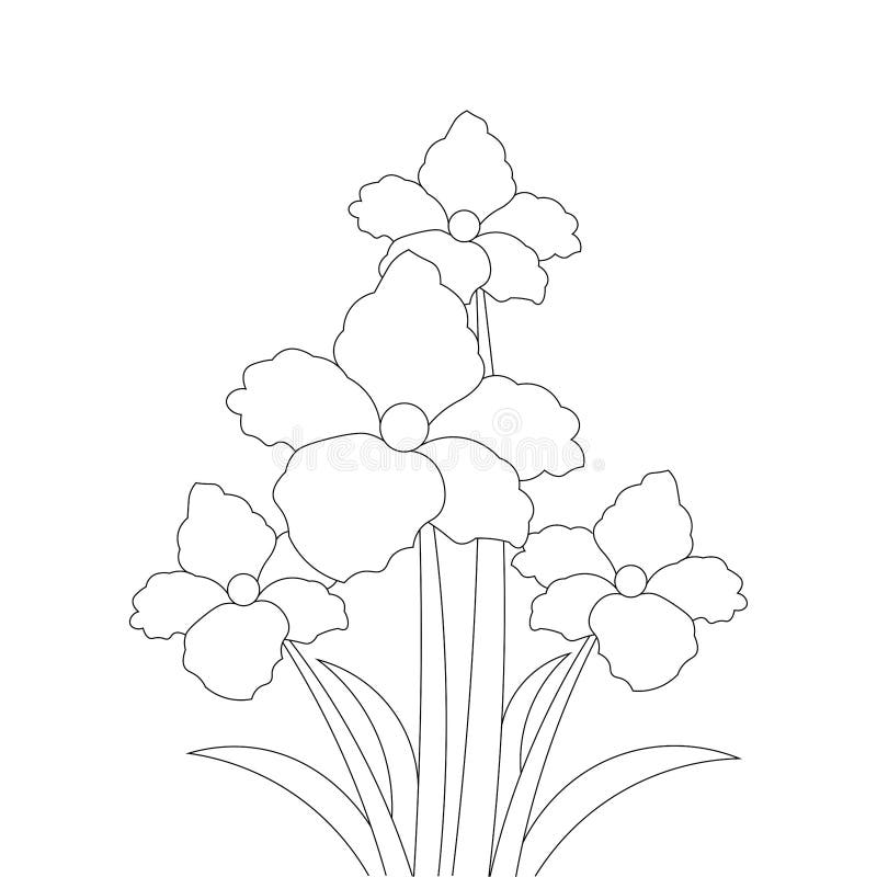 Vector Flower Drawing with Detailed Creative Line Stroke for Coloring ...