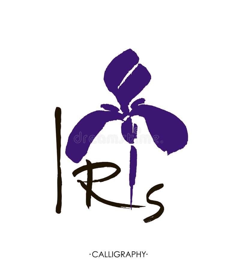 Vector Flower Logo. Floral Background. Stylized Calligraphic Ink Iris ...