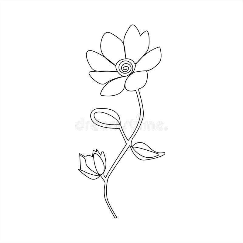 Vector Flower In One Line Art Drawing Isolated On White Background