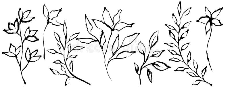 Vector Flowers and Branches with Leaves in Chinese Ink Calligraphy ...