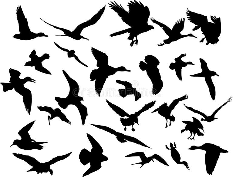 Swooping Birds Stock Illustrations – 384 Swooping Birds Stock ...
