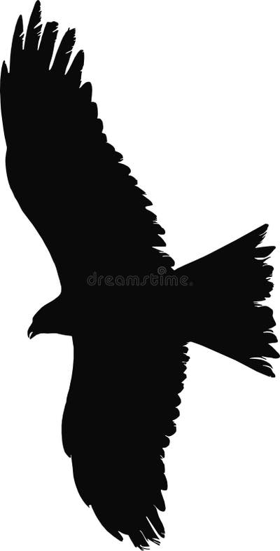 Flying Raptor Stock Illustrations – 12,120 Flying Raptor Stock ...