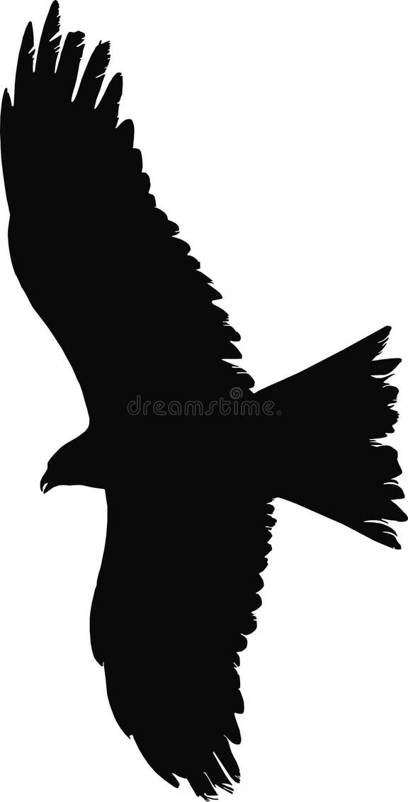 Flying Raptor Stock Illustrations – 12,120 Flying Raptor Stock ...