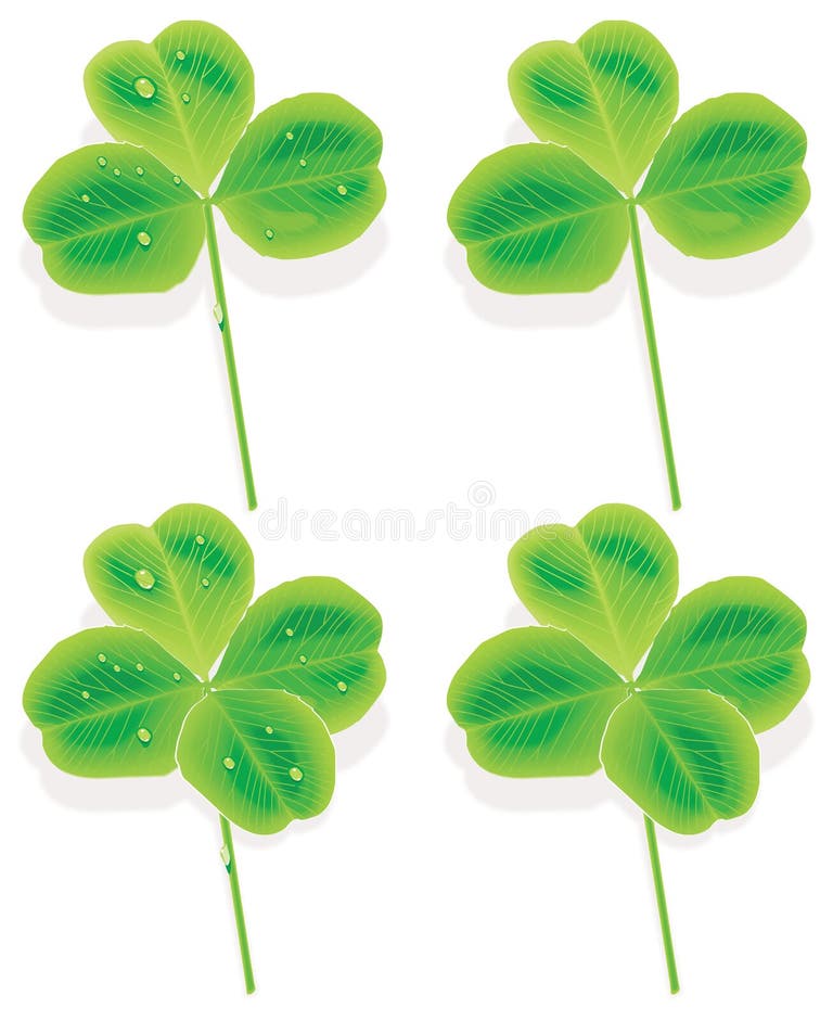 Three Leaf Clover Vector Stock Illustrations – 6,818 Three Leaf Clover ...
