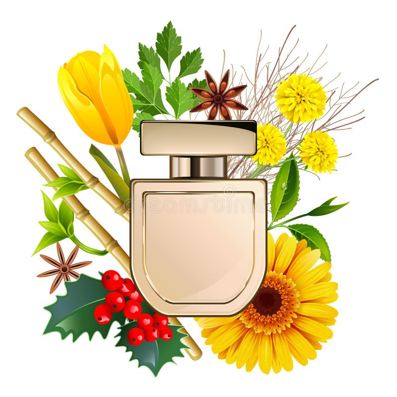 Woody Perfume Stock Illustrations – 77 Woody Perfume Stock ...