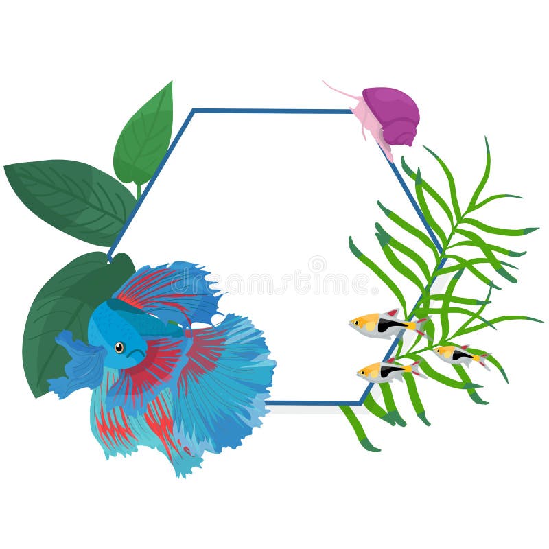Vector Frame Border with Colorful Fishes and Algae Stock Vector ...
