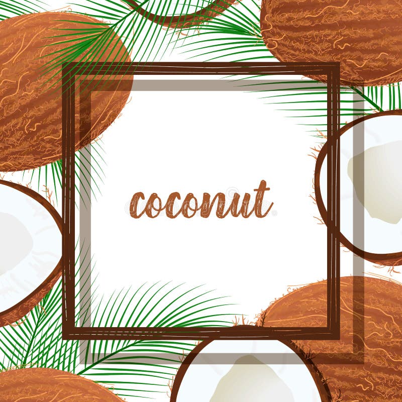Vector Frame with Coconuts and Tropical Leaves. Stock Illustration ...