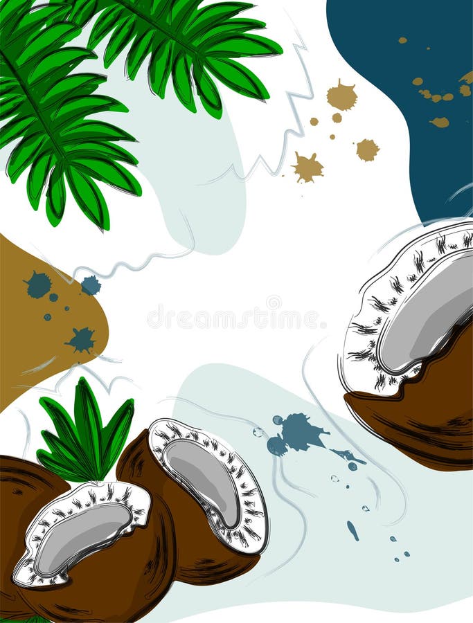 Vector Frame with Doodle Coconut and Abstract Elements Stock Vector ...