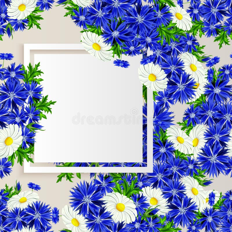 Vector frame with flowers stock vector. Illustration of flowers - 102150827