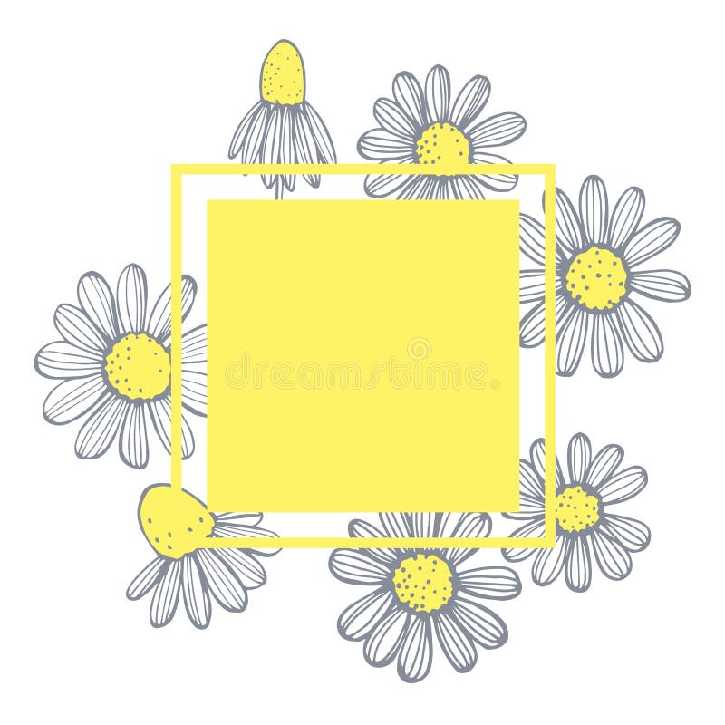 Vector Frame with Hand Drawn Chamomile Flowers Stock Vector ...
