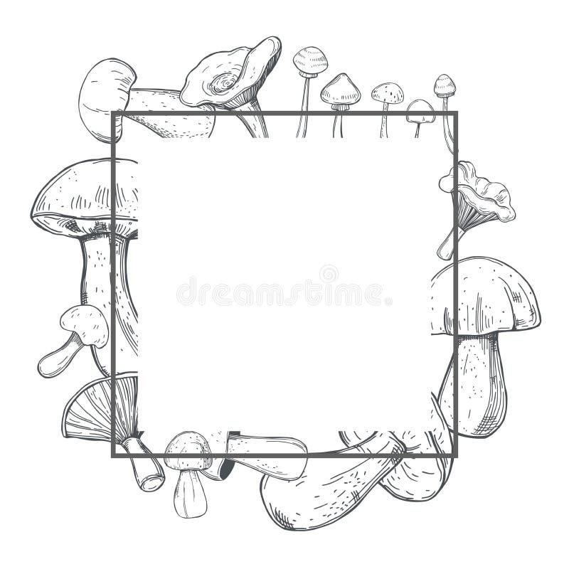 Vector Frame with Hand Drawn Mushrooms Stock Vector - Illustration of ...