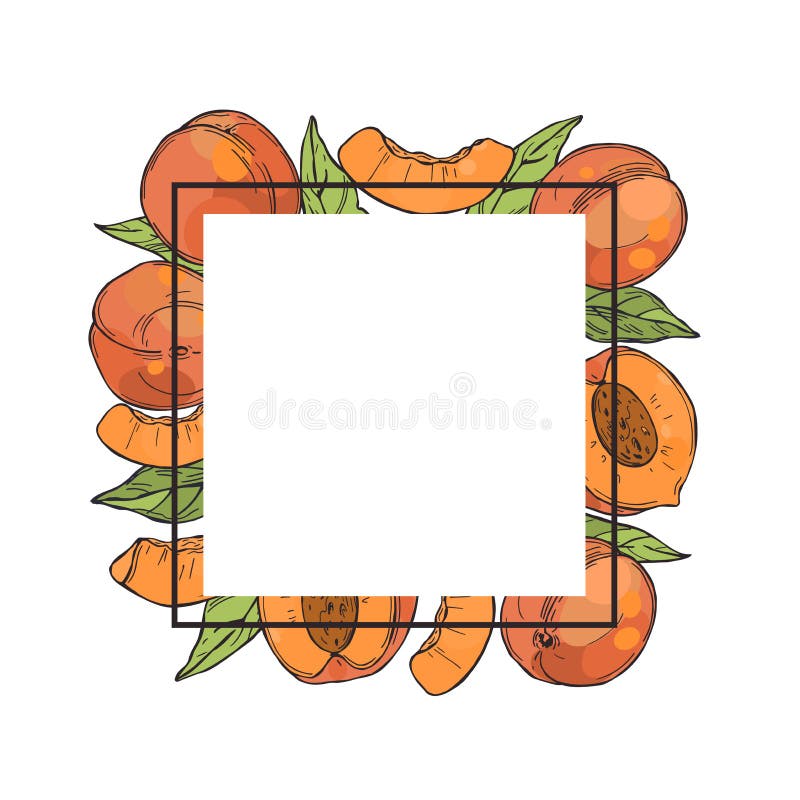 Peaches Frame Stock Illustrations – 158 Peaches Frame Stock ...