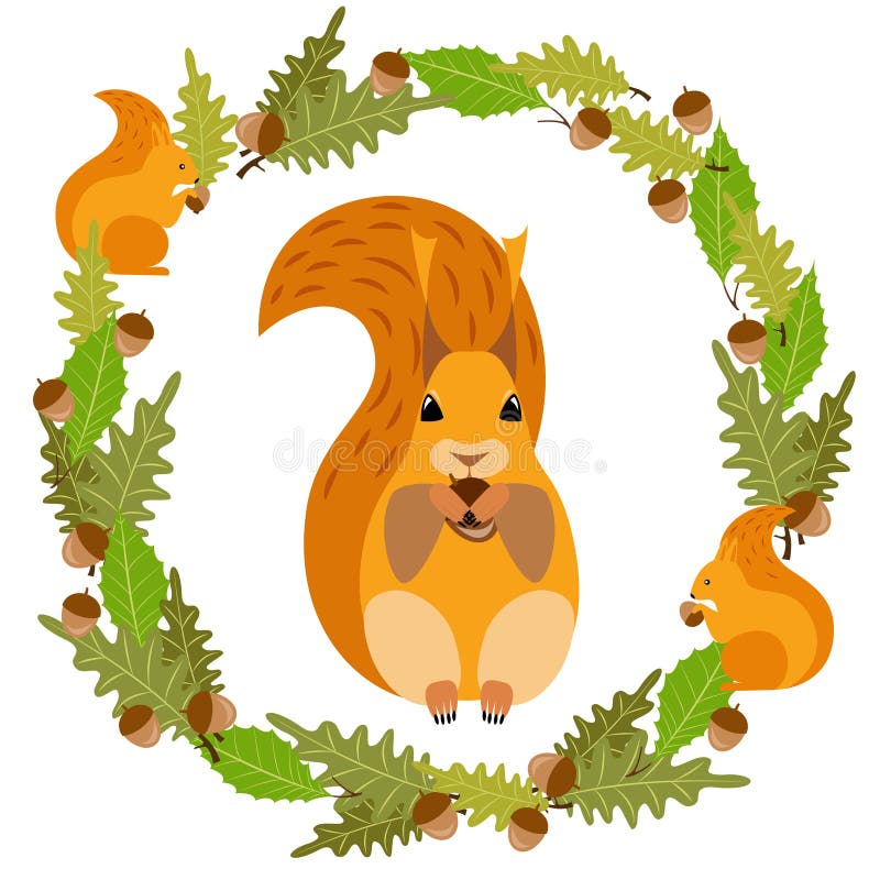 Frame with squirrel stock vector. Illustration of greeting - 48303240
