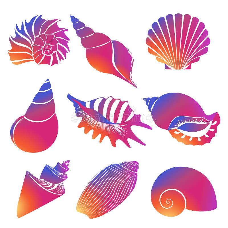 Vector Sea Shells. Seashell Silhouettes Set Isolated. Stock Vector ...