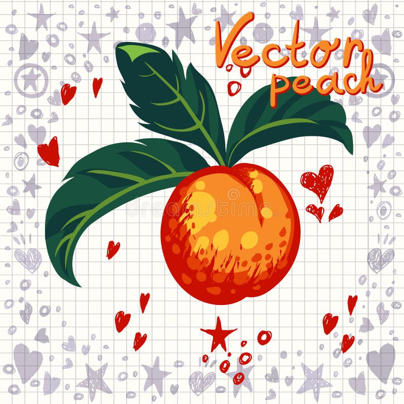 Vector Fresh Peach with Leaves Stock Vector - Illustration of color ...