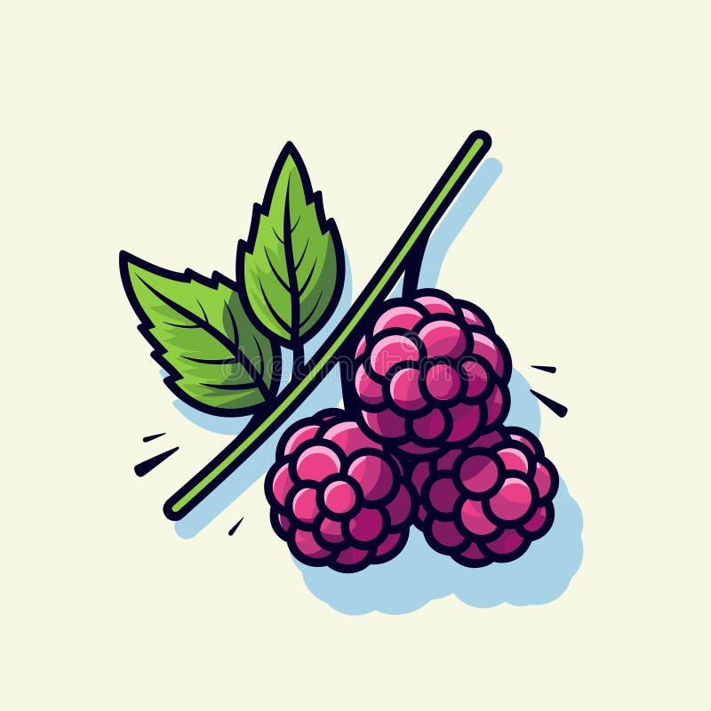 Vector of Fresh Raspberries with Leaves on a Clean White Background ...