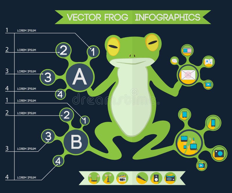 Vector Frog Infographics 03 Stock Vector - Illustration of application ...