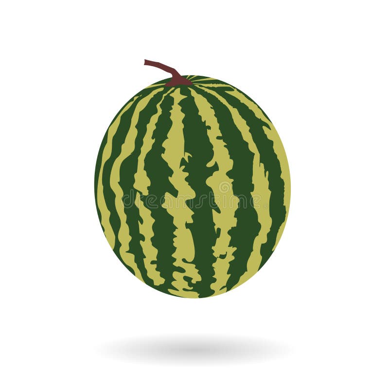 Watermelon Icon with Shadow on White Background. Stock Vector ...