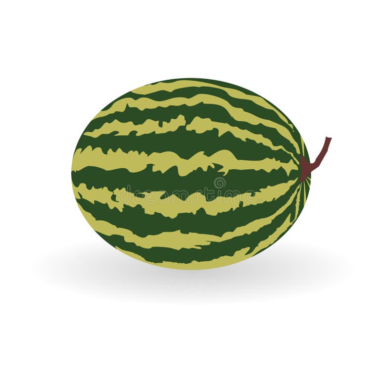 Watermelon Icon with Shadow on White Background. Stock Vector ...