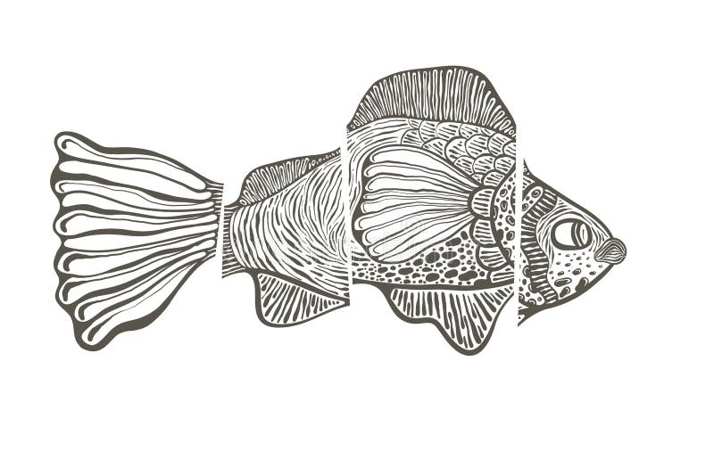 Vector Funky Cut Fish stock vector. Illustration of design - 211500384