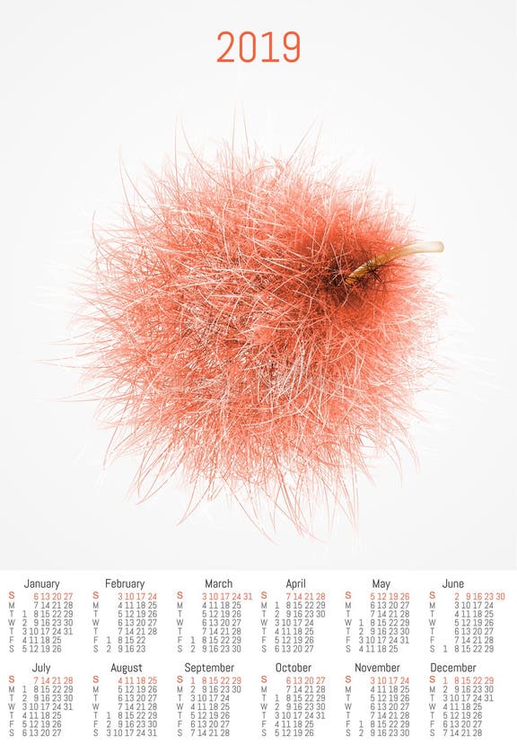 Vector Fur Design Calendar 2019 Stock Image - Image of fluffy, season ...