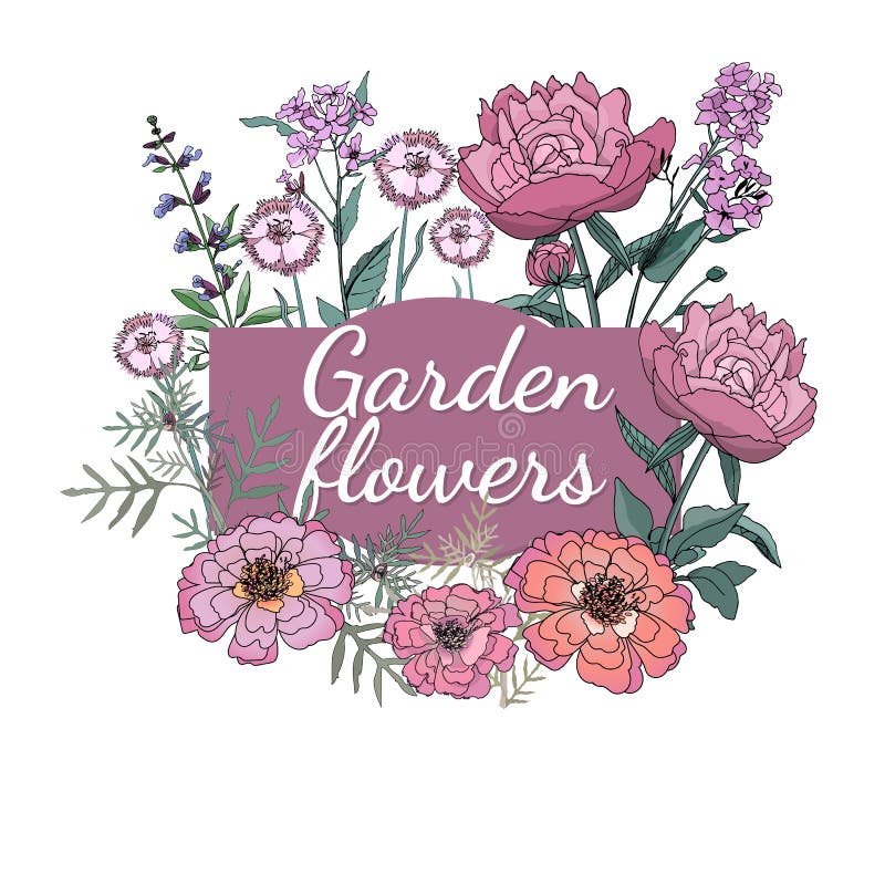 Vector garden flowers. stock vector. Illustration of decor - 139396661