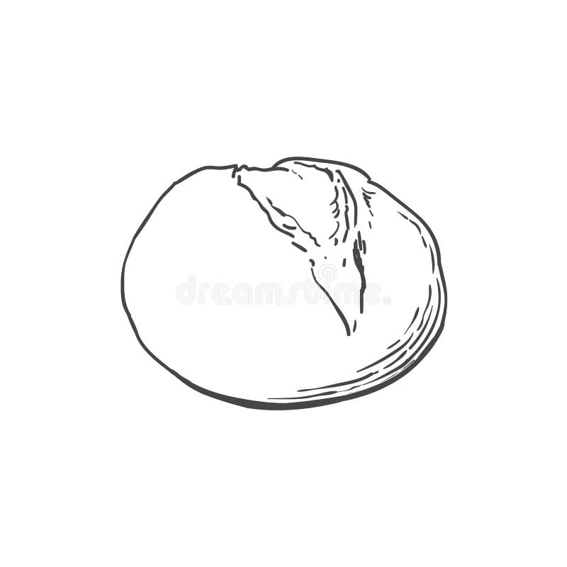 Vector Geïsoleerd Schets Wit Rond Brood Vector Illustratie ...