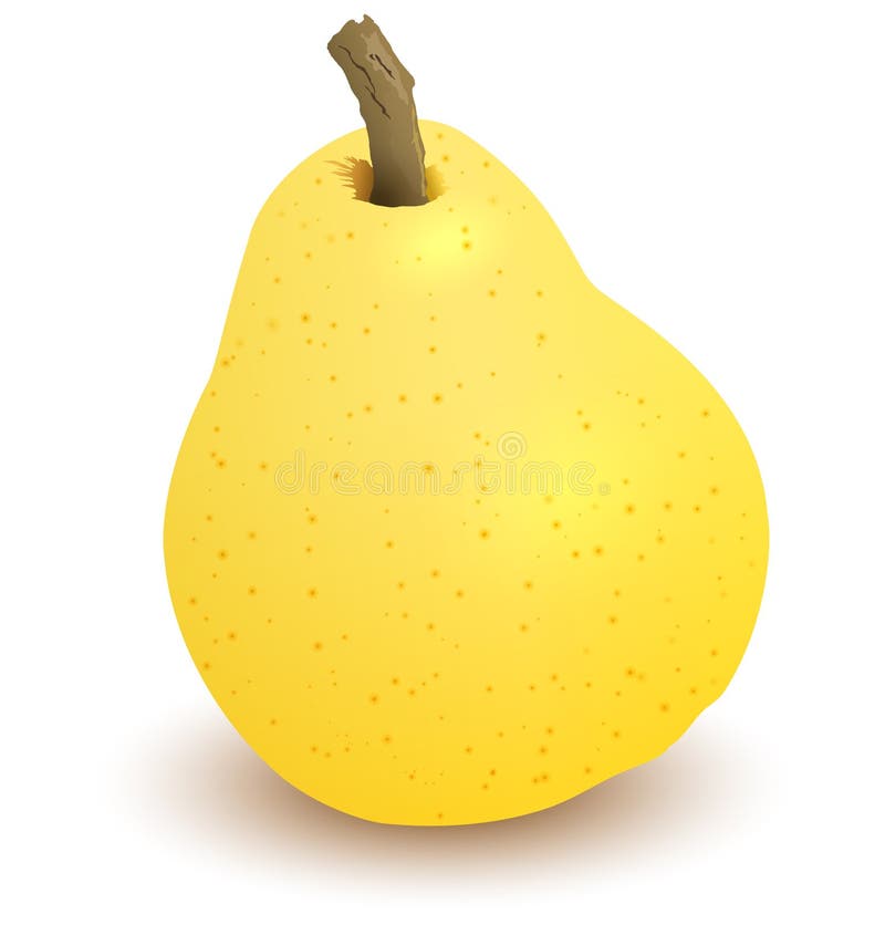 Vector gele peer vector illustratie. Illustration of versheid - 38124077