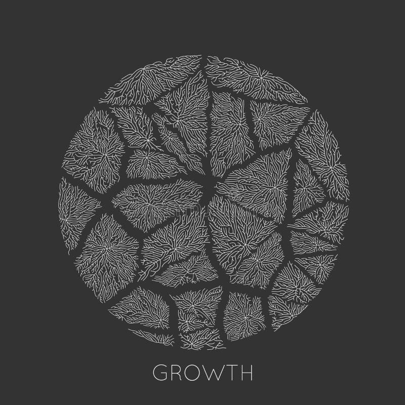 Vector Generative Branch Growth Pattern. Round Cracked Texture. Lichen ...
