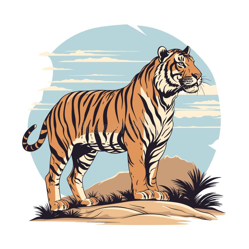 Vector Giant Tiger. Tiger Drawing Full Body Stock Photo - Image of ...