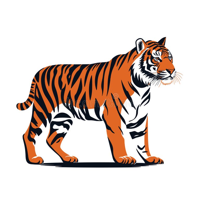 Vector Giant Tiger. Tiger Drawing Full Body Stock Image - Image of gold ...