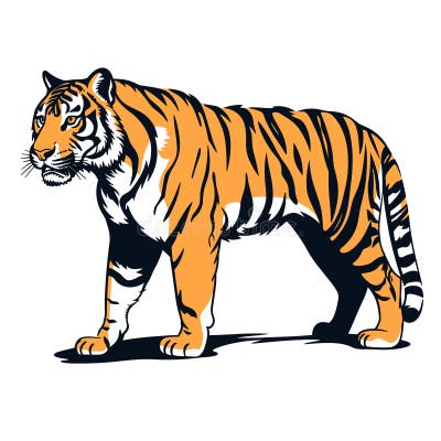 Vector Giant Tiger. Tiger Drawing Full Body Stock Vector - Illustration ...