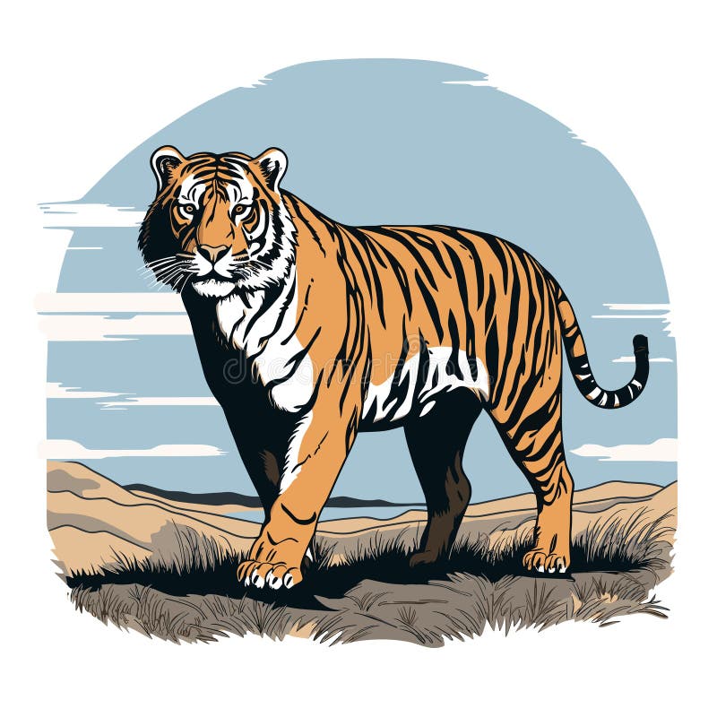 Vector Giant Tiger. Tiger Drawing Full Body Stock Photo - Image of ...