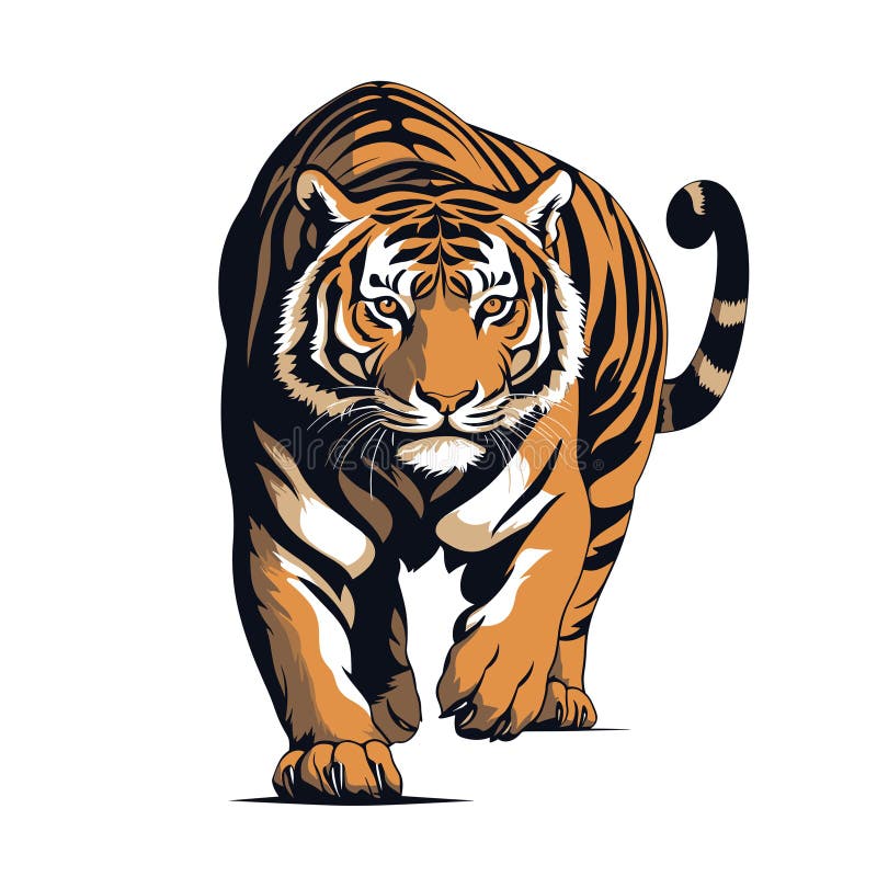 Vector Giant Tiger. Tiger Drawing Full Body Stock Image - Image of ...