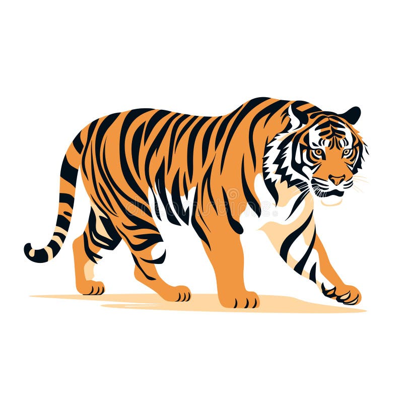 Vector Giant Tiger. Tiger Drawing Full Body Stock Image - Image of ...