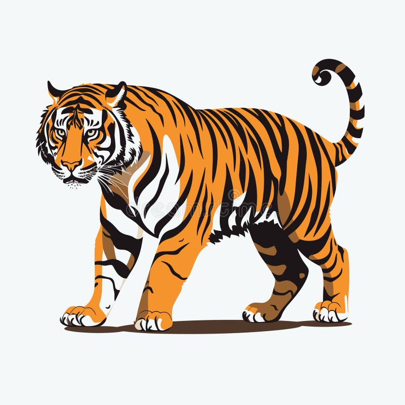 Vector Giant Tiger. Tiger Drawing Full Body Stock Photo - Image of ...